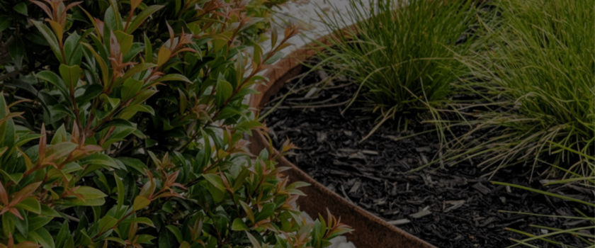Garden Edging A Guide To Enhancing Your Landscape In Brisbane